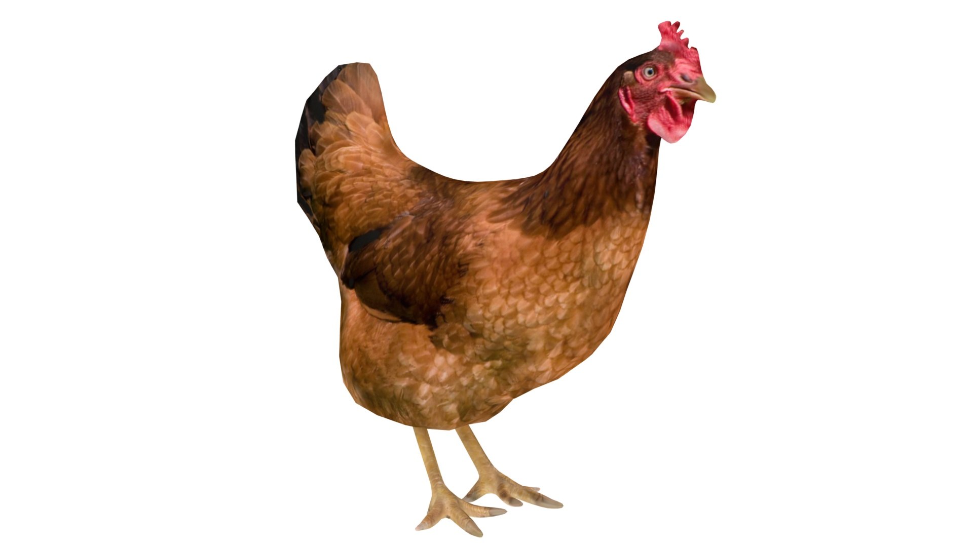 Chicken Chick 3D Model - TurboSquid 1658939