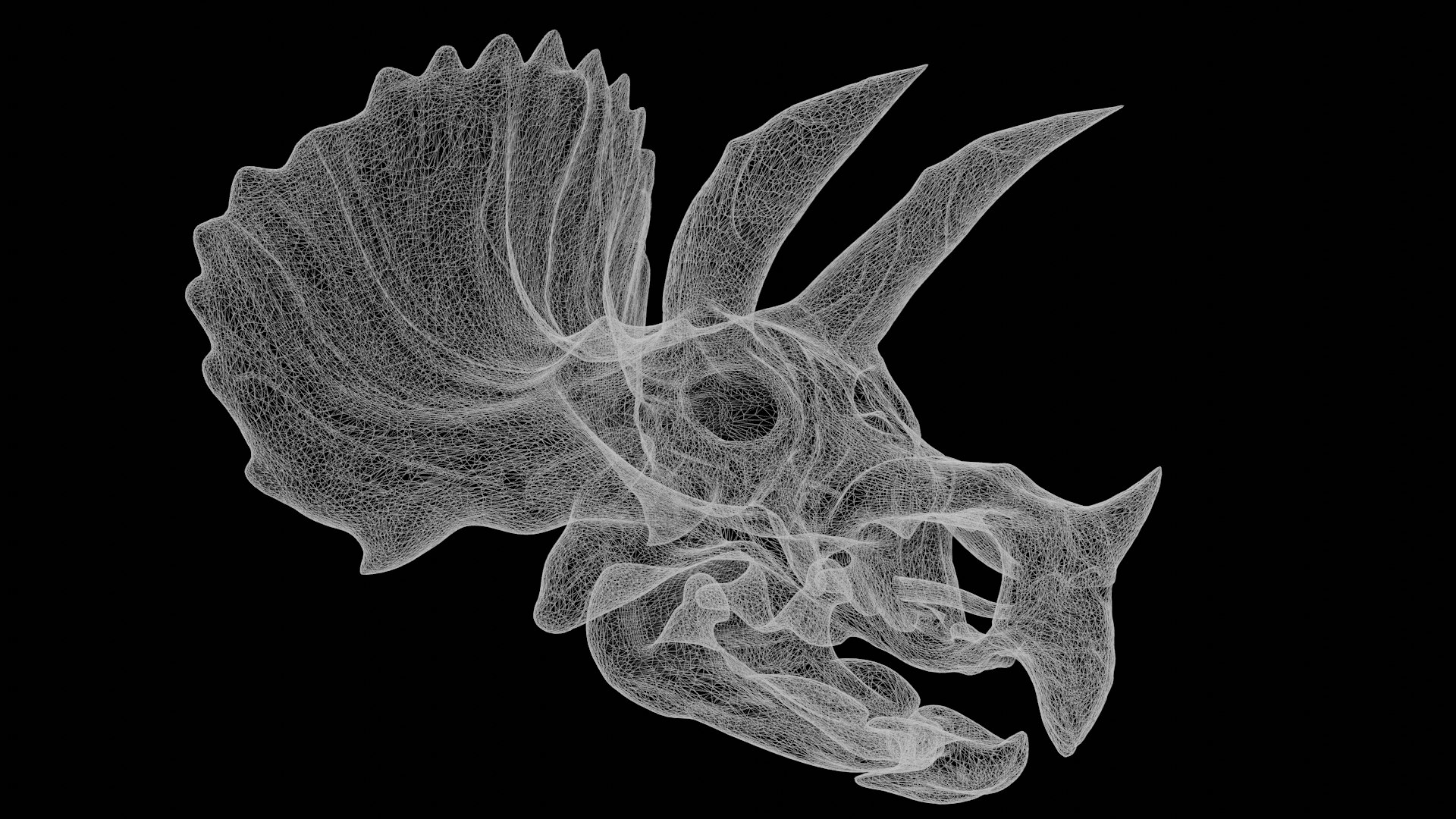 3D Dinosaur Skulls Model - TurboSquid 1965283