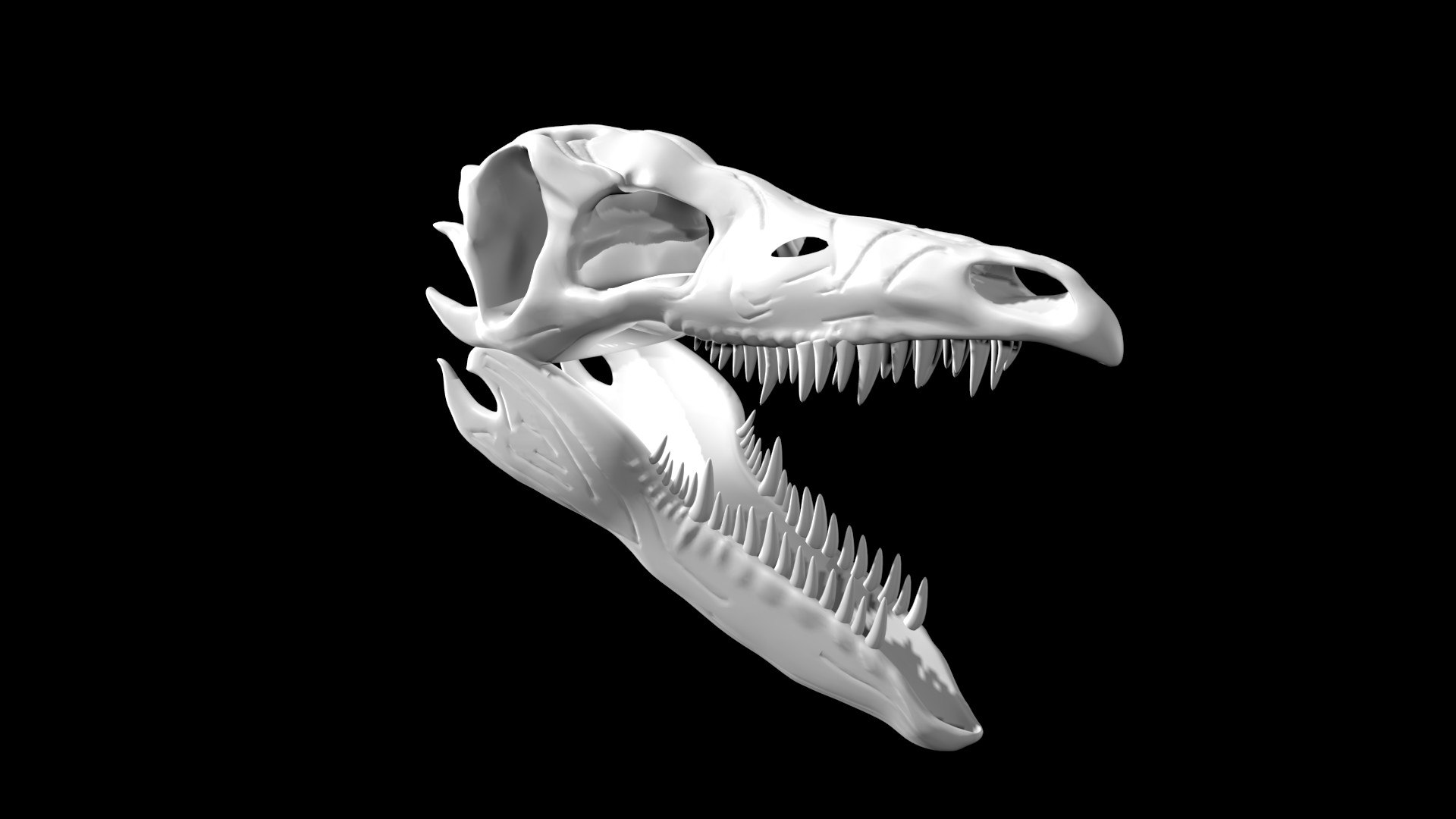 3D Dinosaur Skulls Model - TurboSquid 1965283