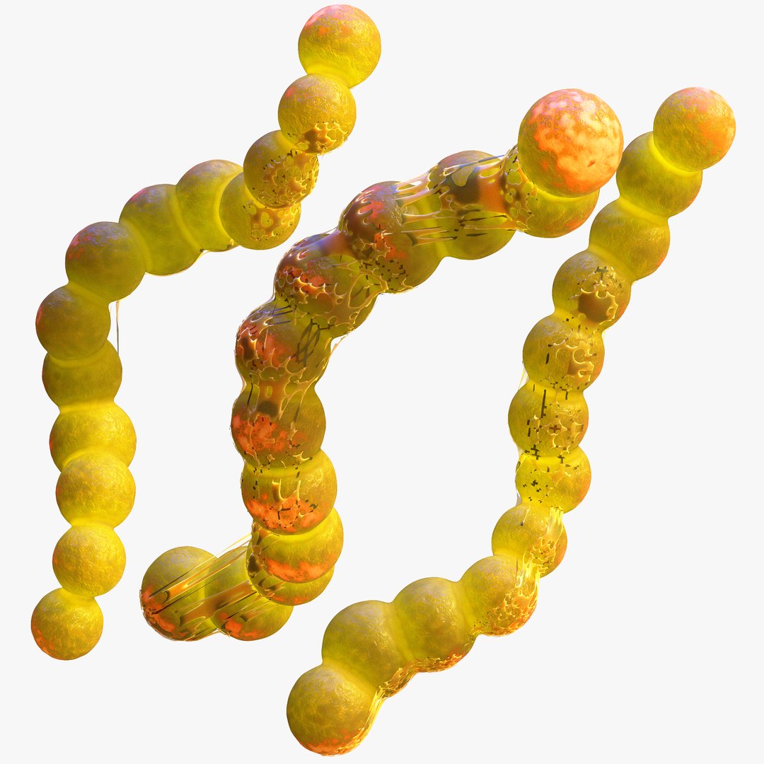 3D Streptococcus Model - TurboSquid 1834420