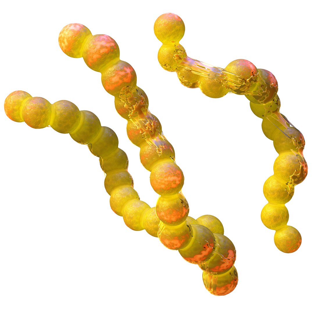3D Streptococcus Model - TurboSquid 1834420