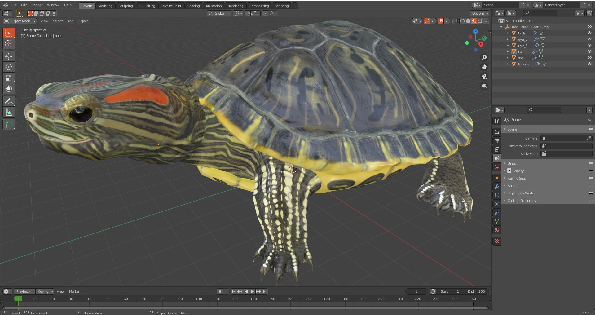 Red Eared Slider Turtle Model - TurboSquid 2150143