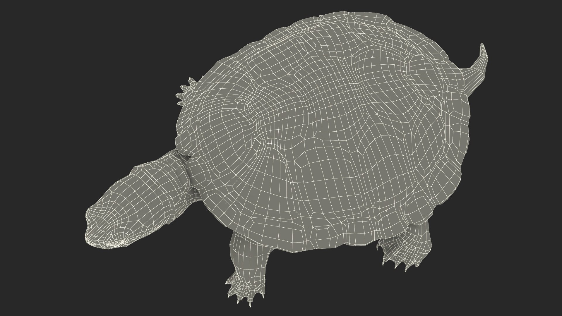 Red Eared Slider Turtle Model - TurboSquid 2150143