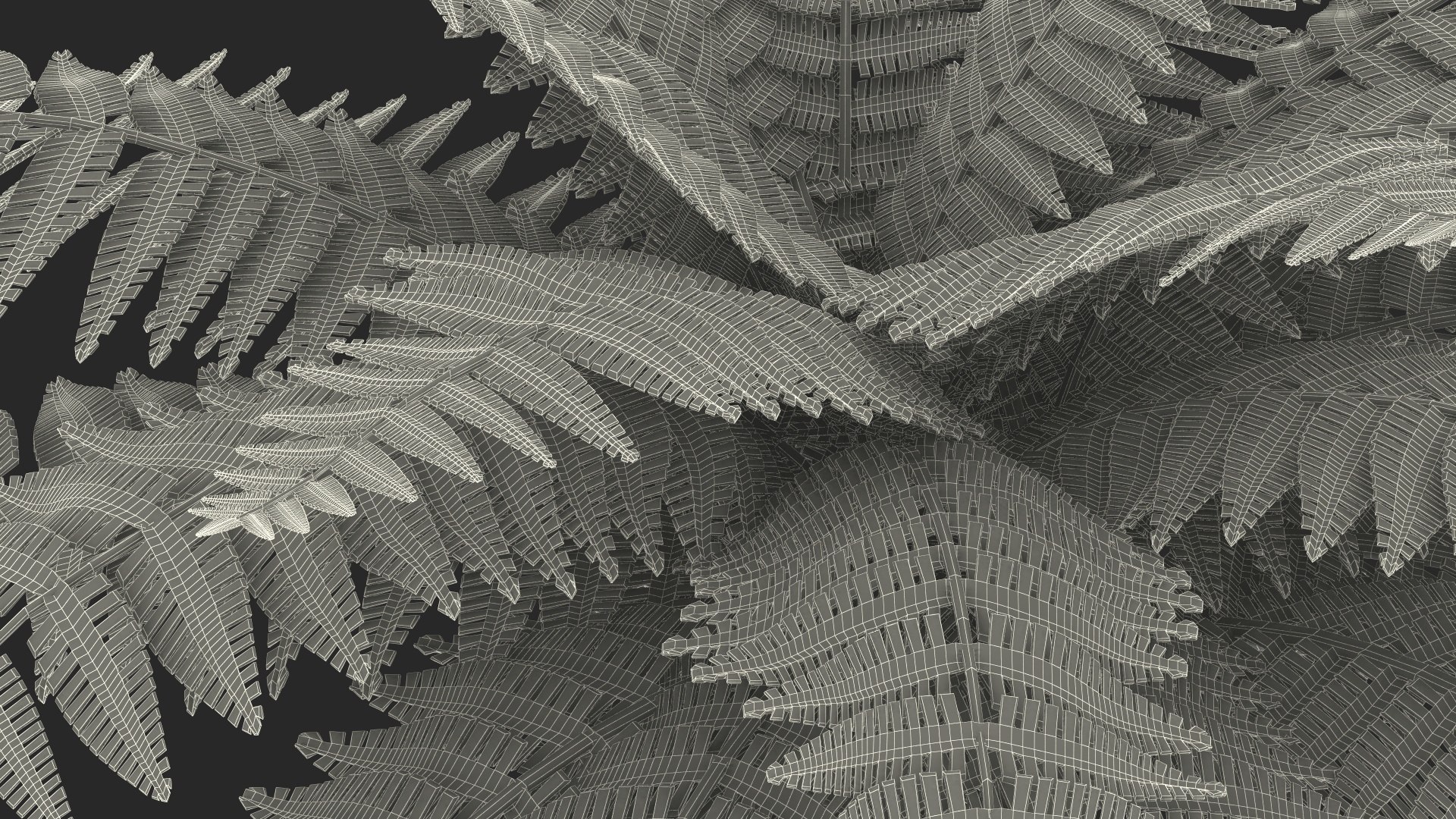 Realistic Fern Plant 3D Model - TurboSquid 2235600