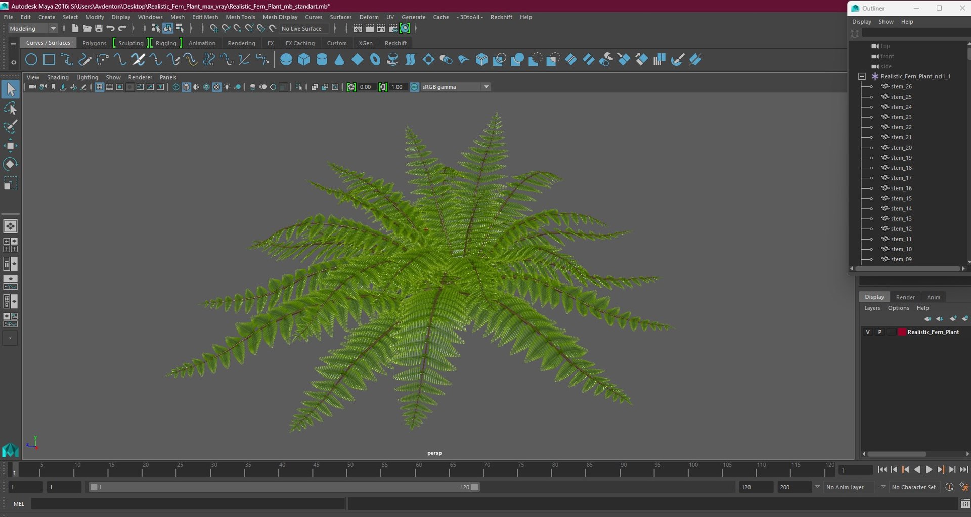 Realistic Fern Plant 3D Model - TurboSquid 2235600