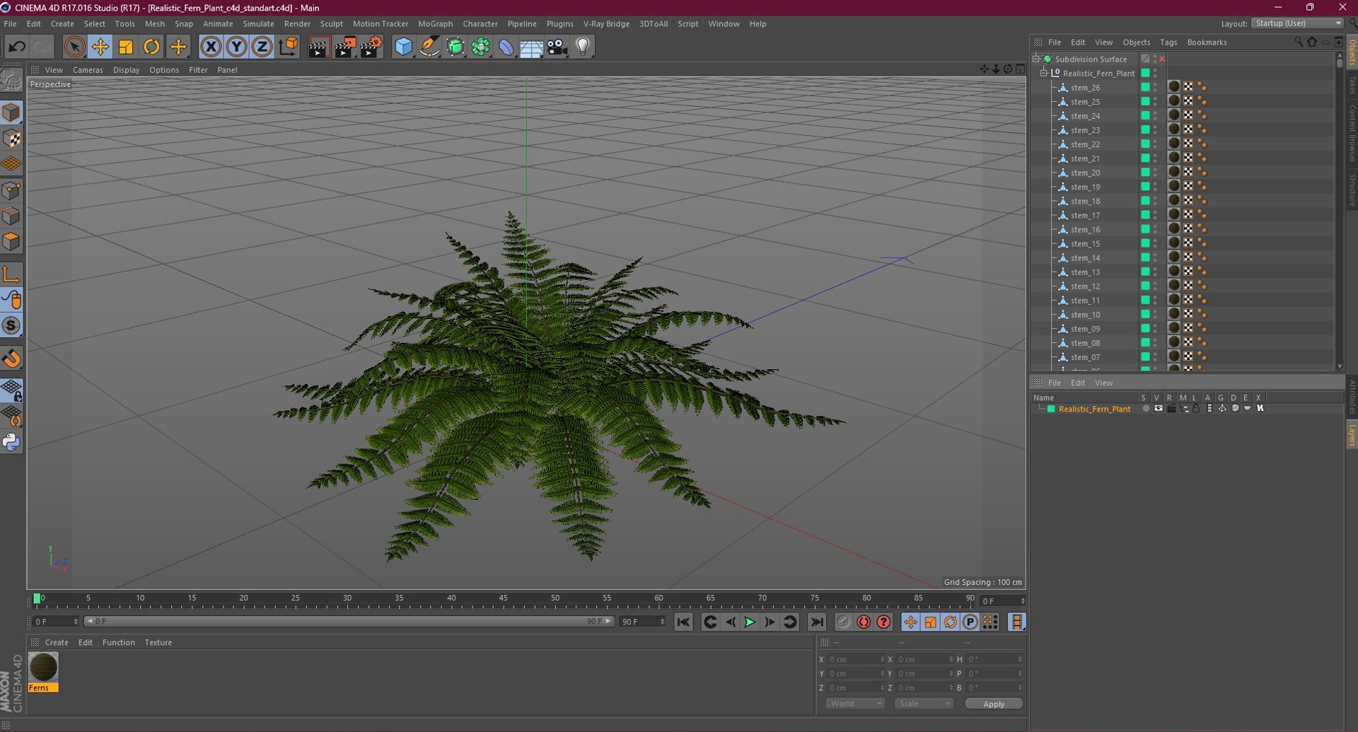 Realistic Fern Plant 3D Model - TurboSquid 2235600