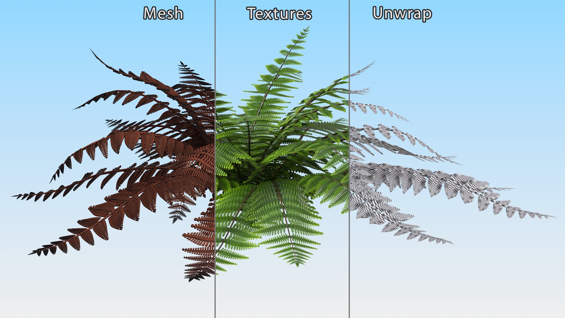 Realistic Fern Plant 3D Model - TurboSquid 2235600