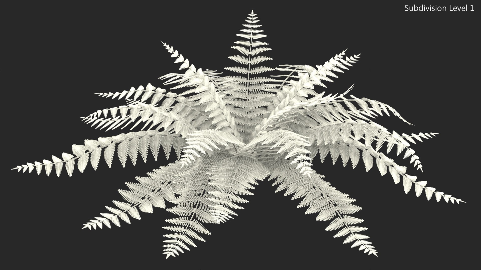 Realistic Fern Plant 3D Model - TurboSquid 2235600