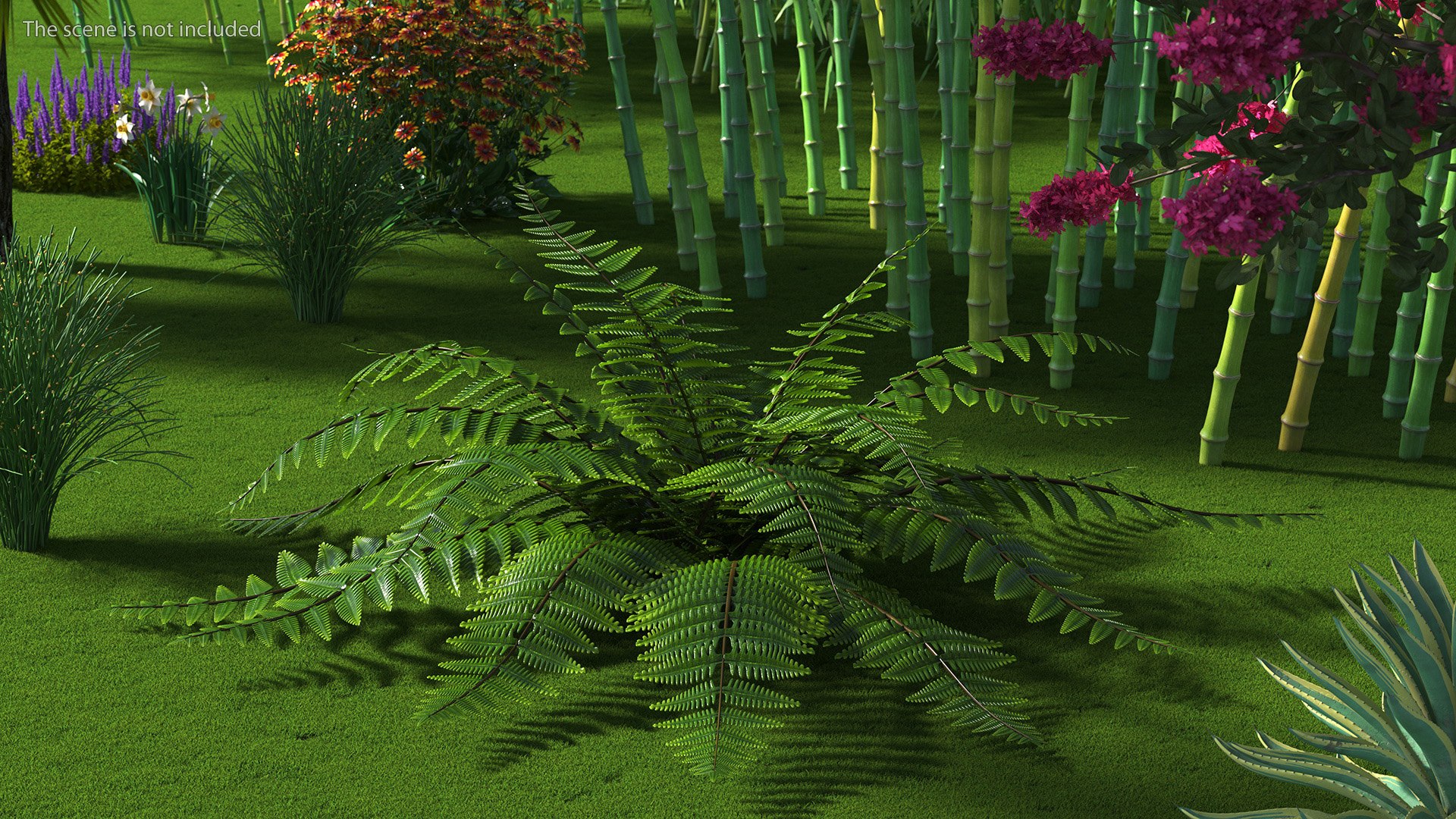 Realistic Fern Plant 3D Model - TurboSquid 2235600