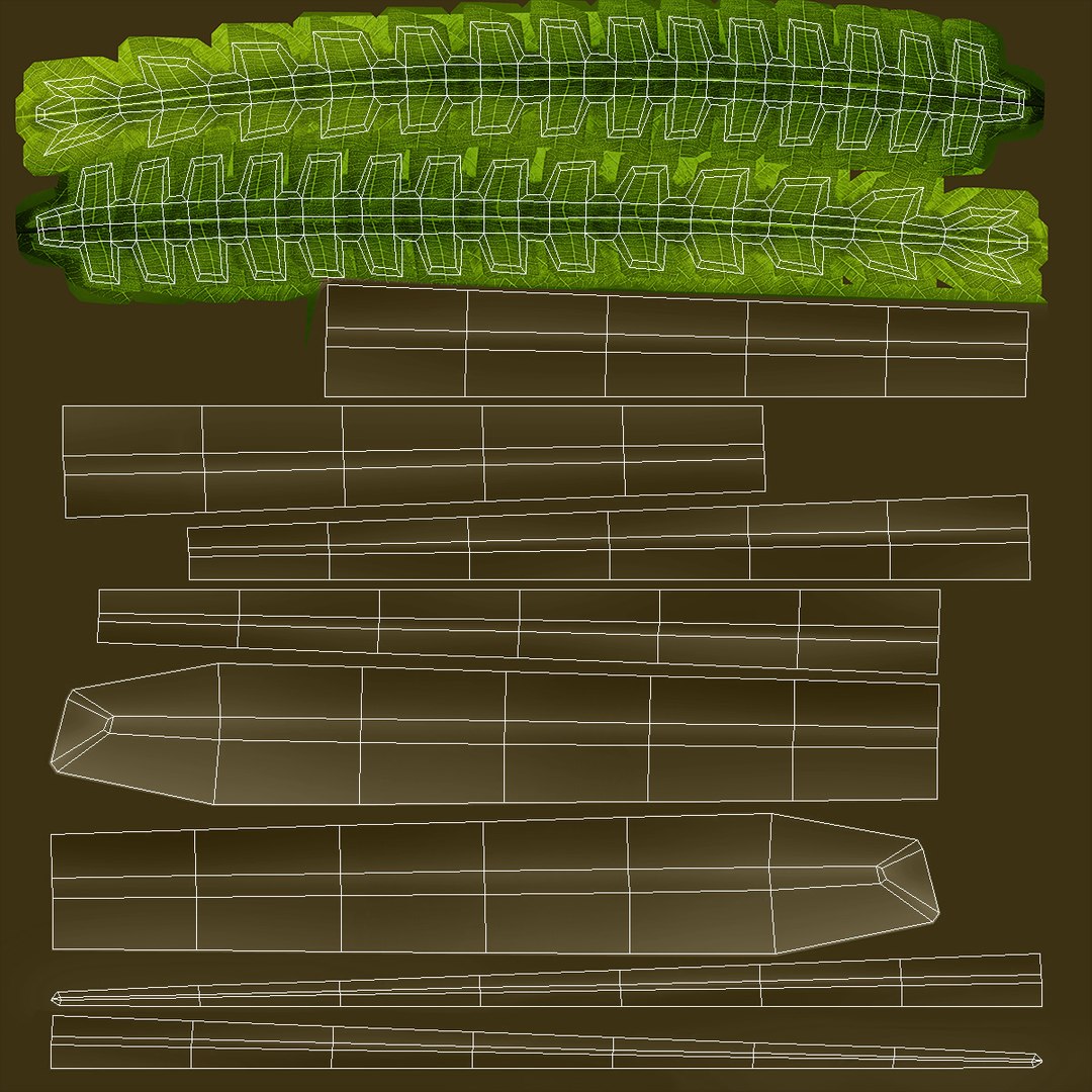 Realistic Fern Plant 3D Model - TurboSquid 2235600