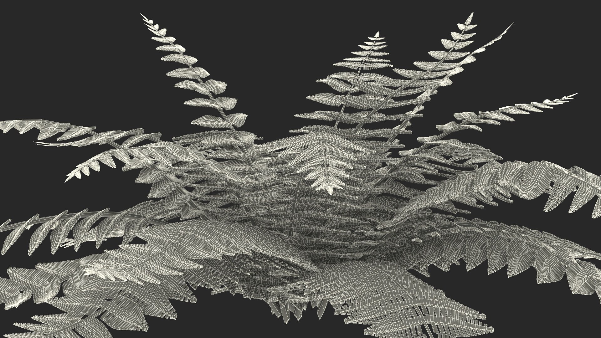 Realistic Fern Plant 3D Model - TurboSquid 2235600