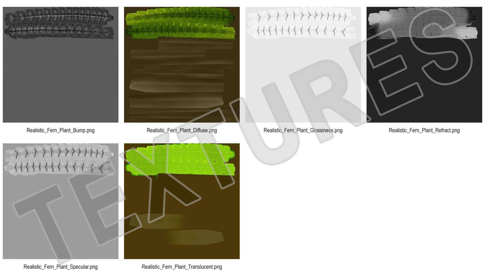 Realistic Fern Plant 3D Model - TurboSquid 2235600