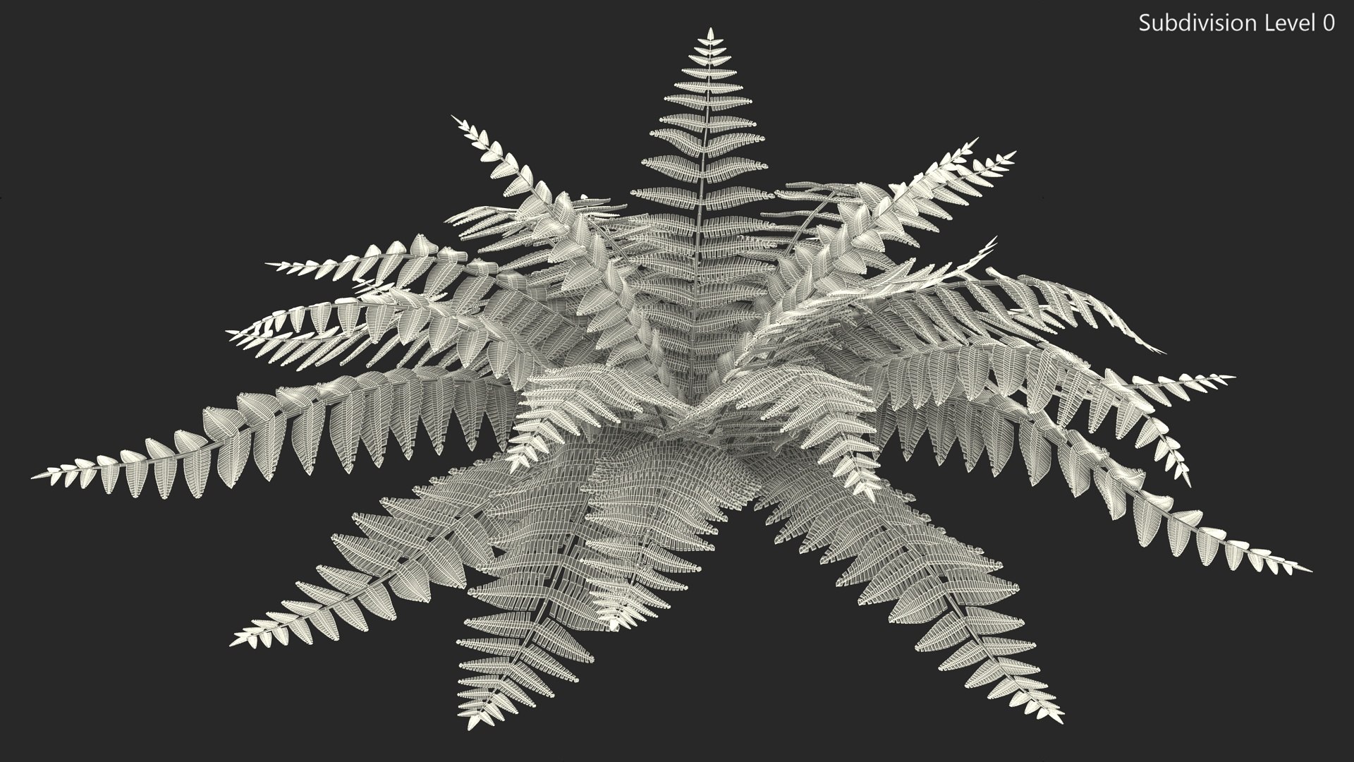 Realistic Fern Plant 3D Model - TurboSquid 2235600