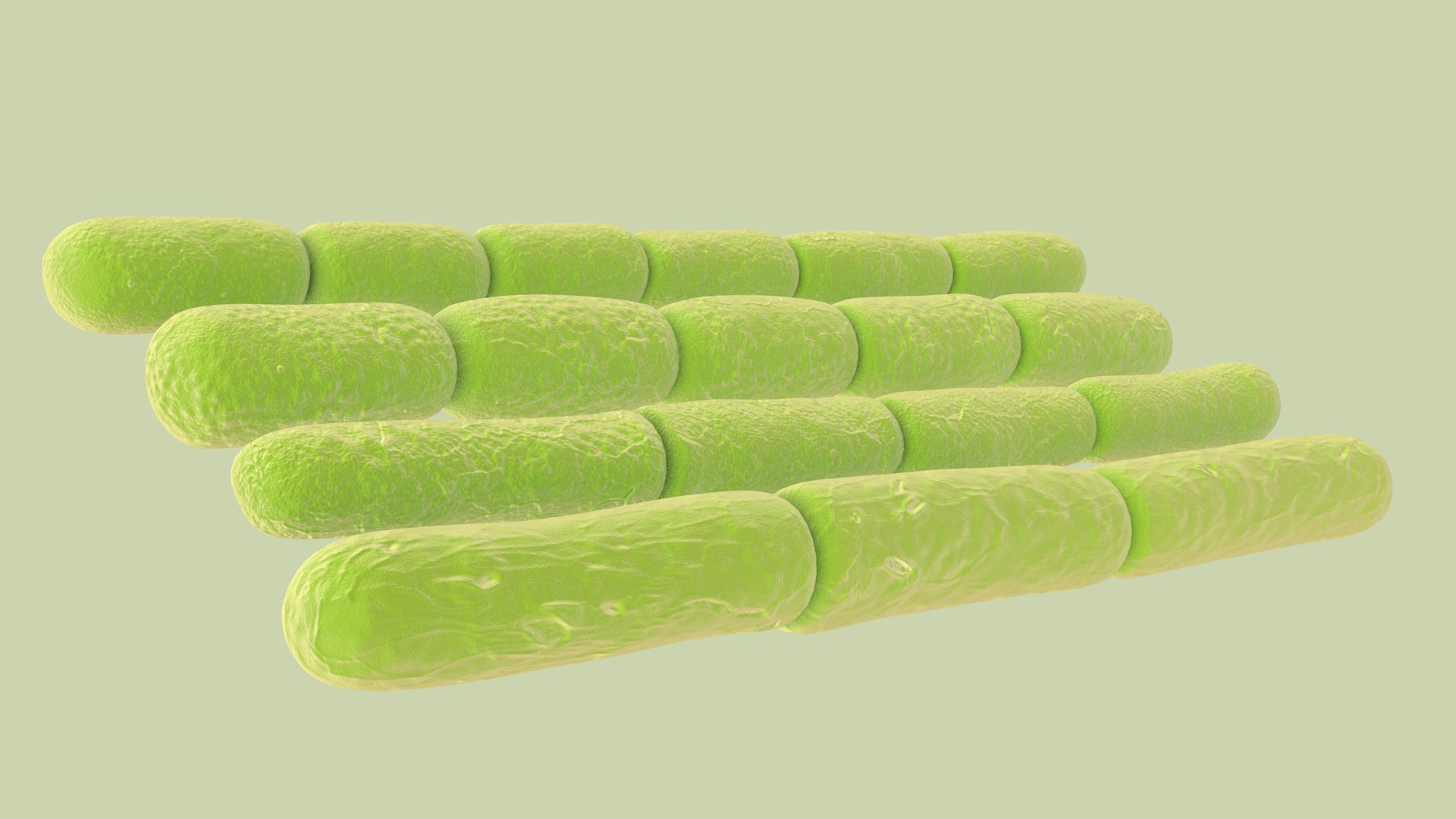 3D Bacilli - TurboSquid 2030239