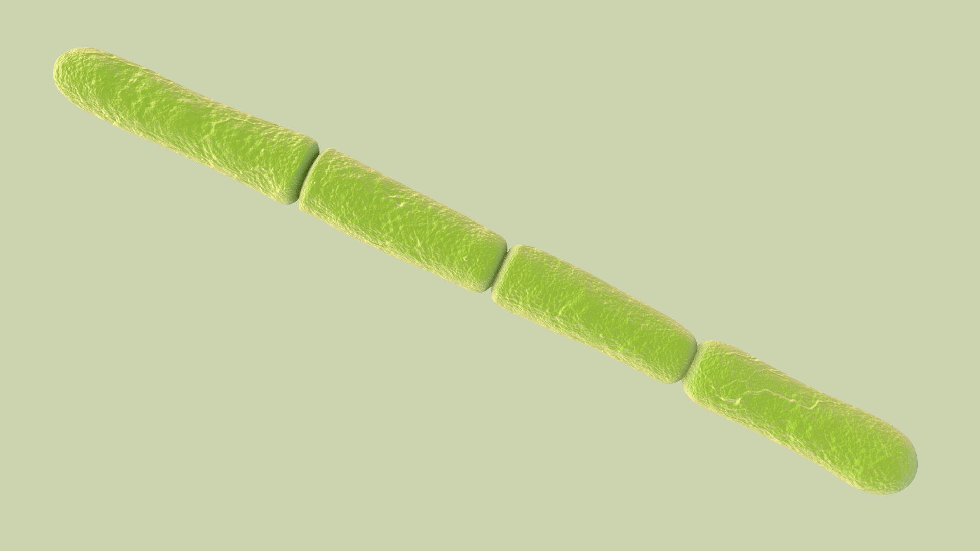 3D Bacilli - TurboSquid 2030239