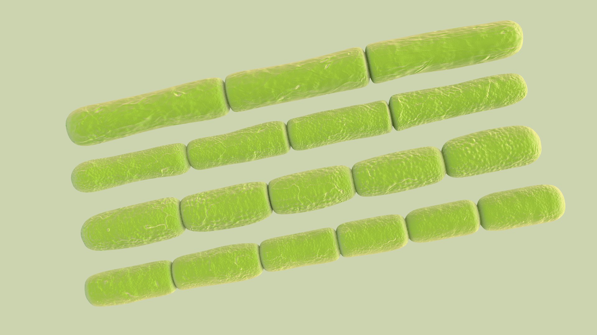 3D Bacilli - TurboSquid 2030239