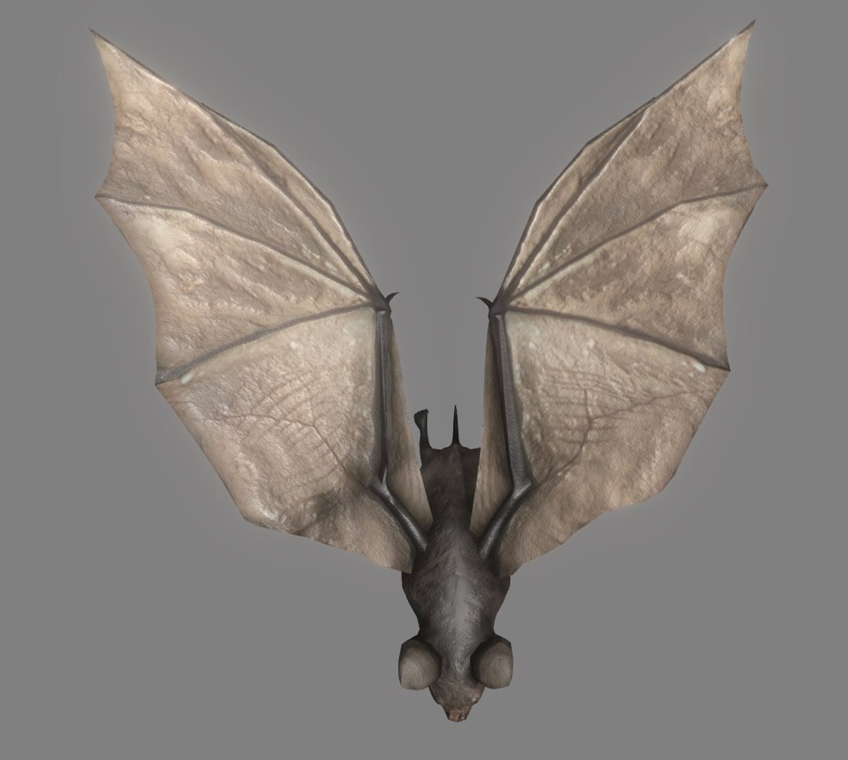 Bat Rigged 3D Model - TurboSquid 1417975