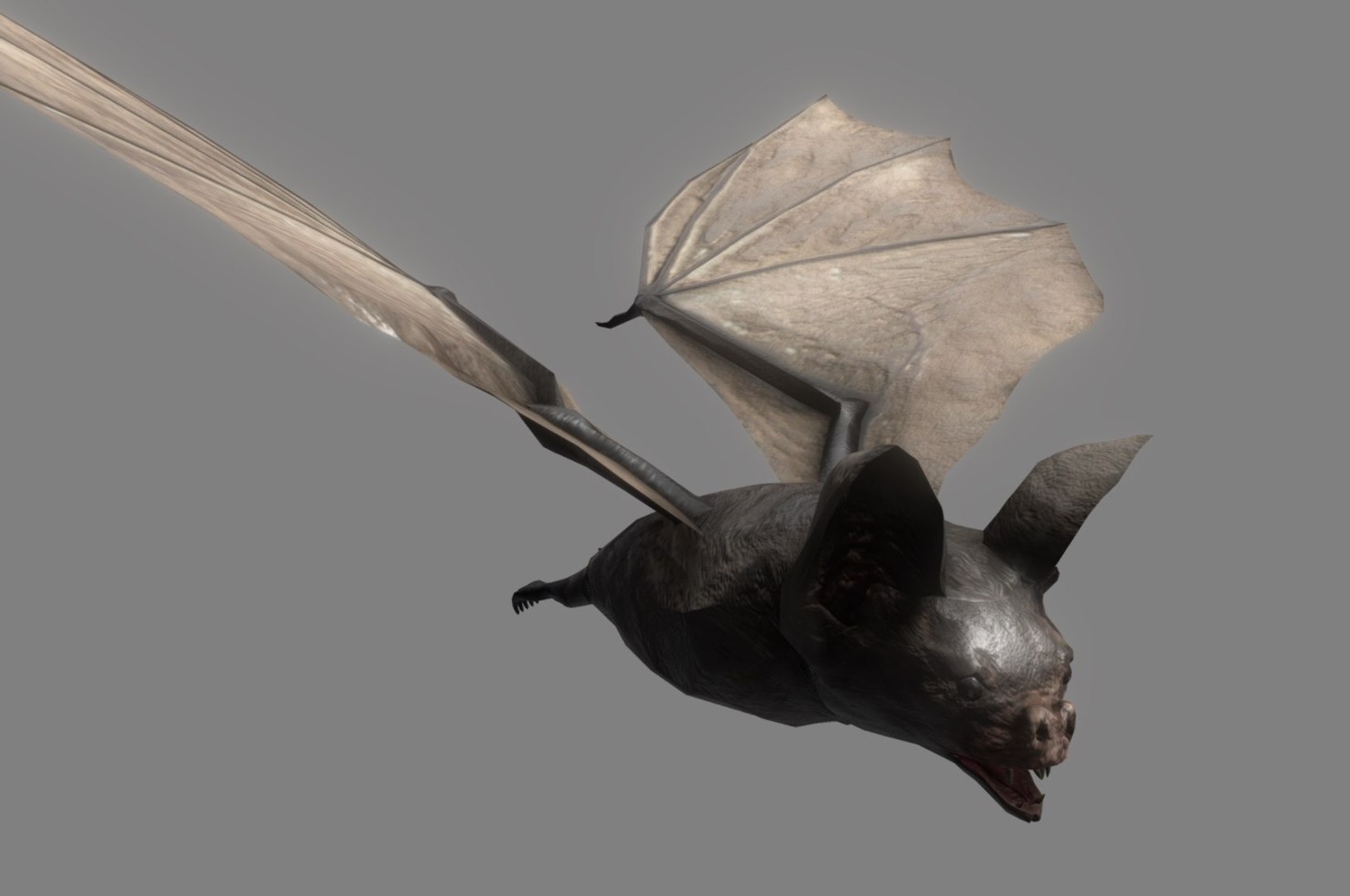 Bat Rigged 3D Model - TurboSquid 1417975
