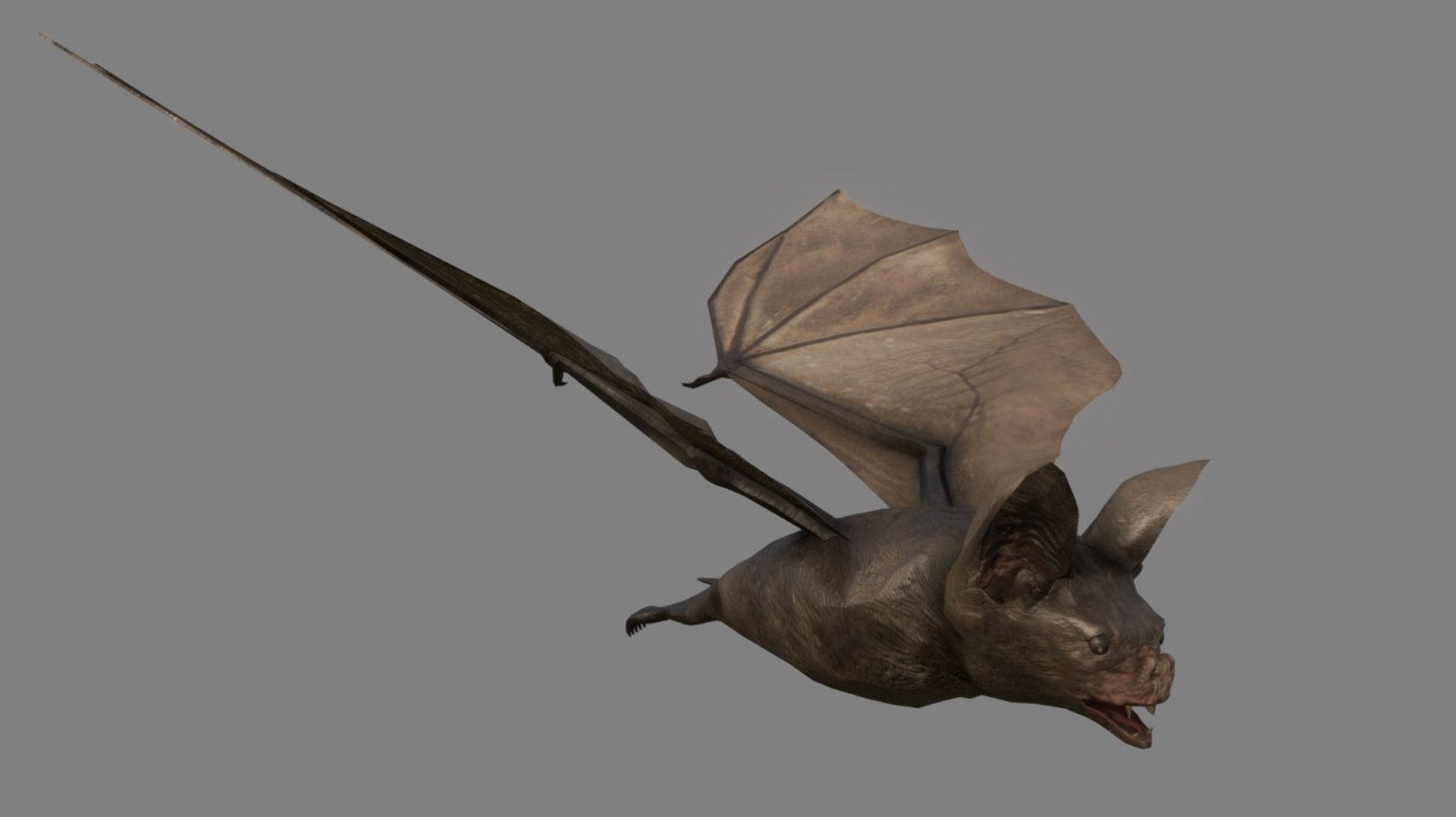Bat Rigged 3D Model - TurboSquid 1417975