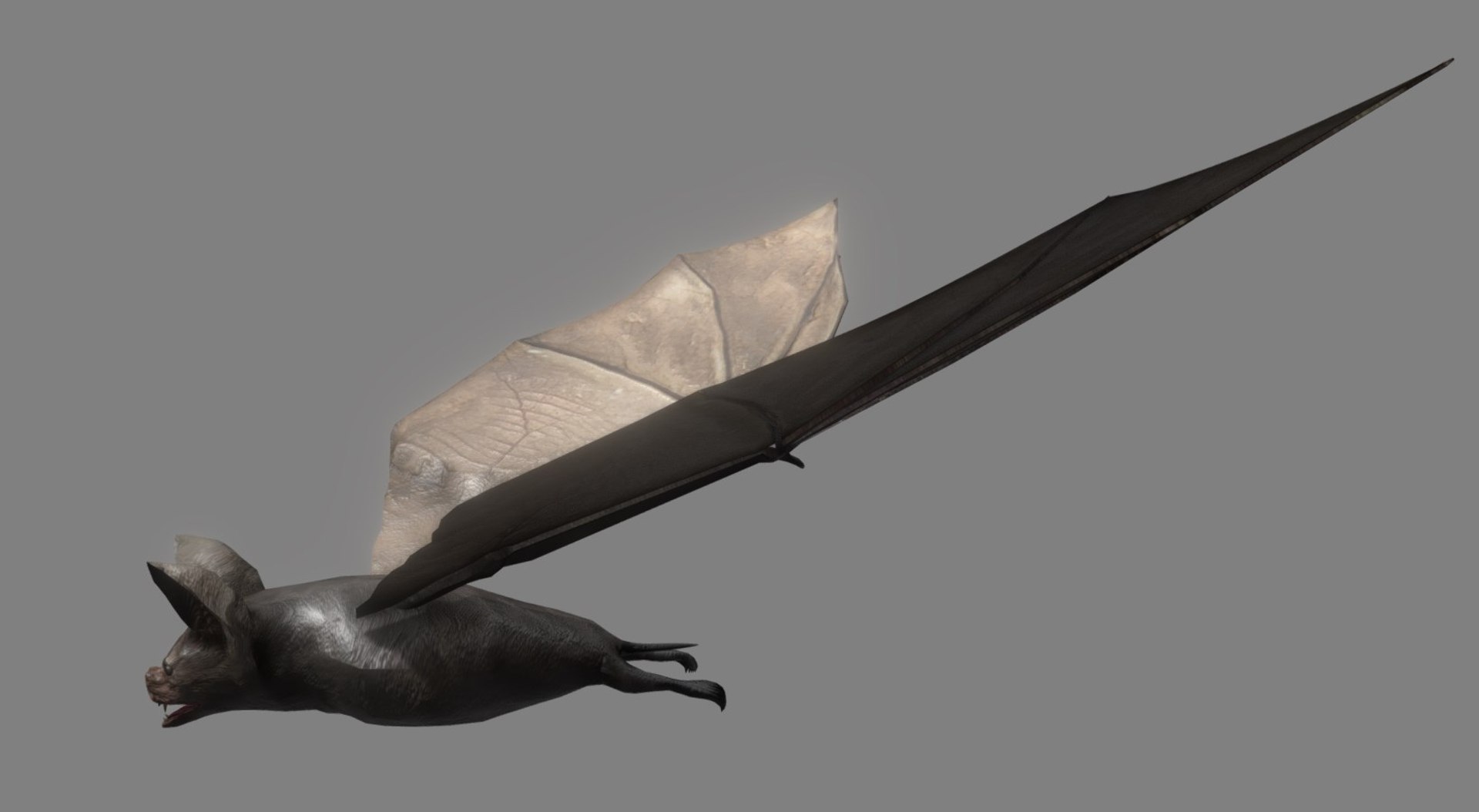 Bat Rigged 3D Model - TurboSquid 1417975