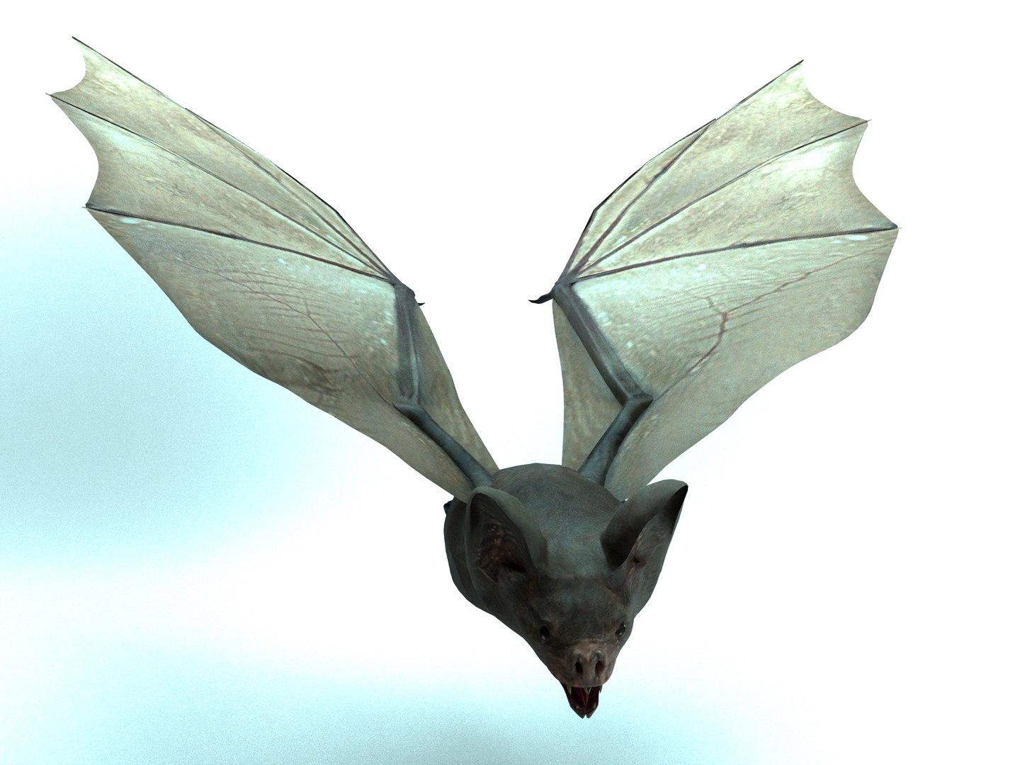 Bat Rigged 3D Model - TurboSquid 1417975