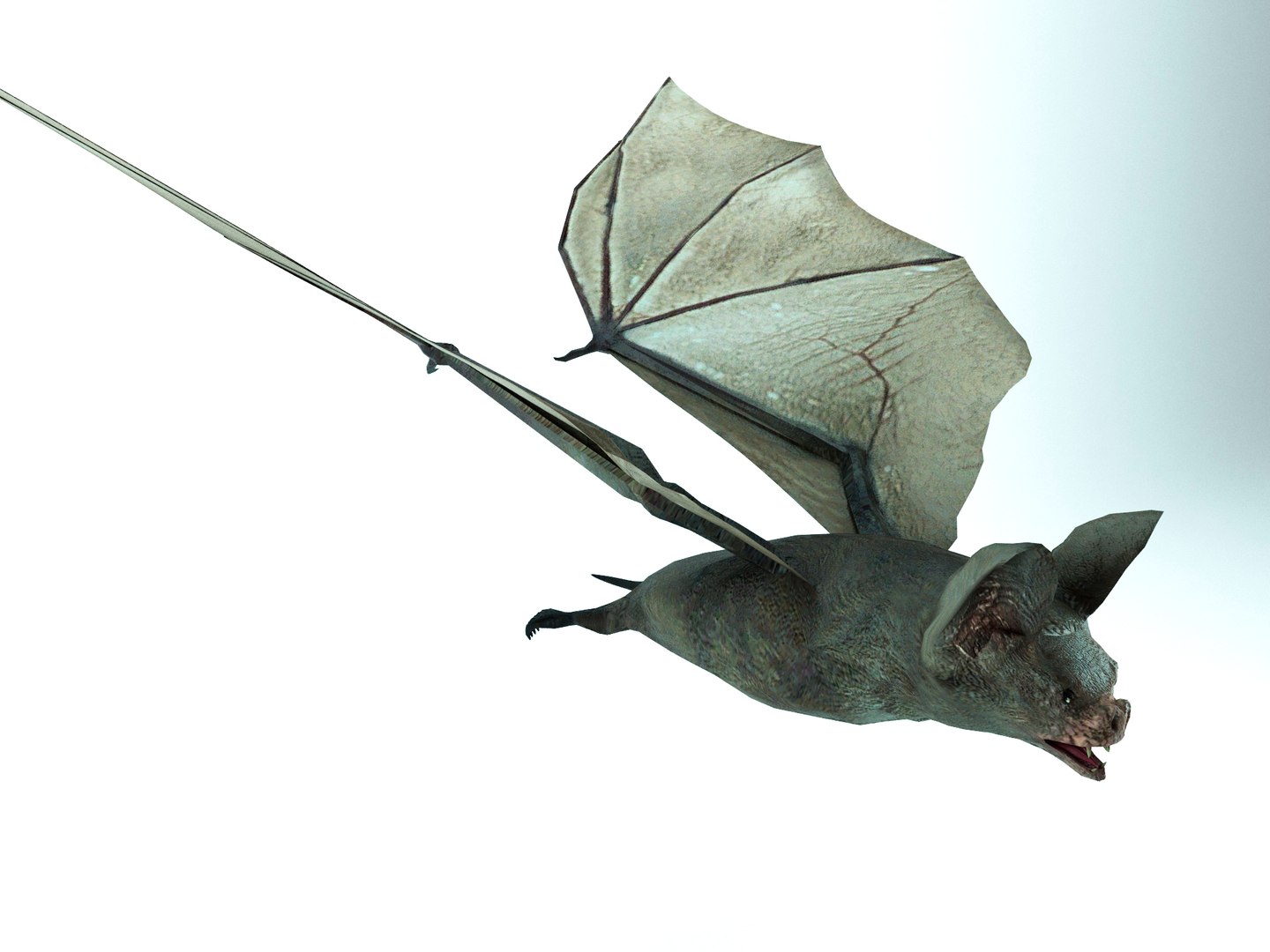 Bat Rigged 3D Model - TurboSquid 1417975