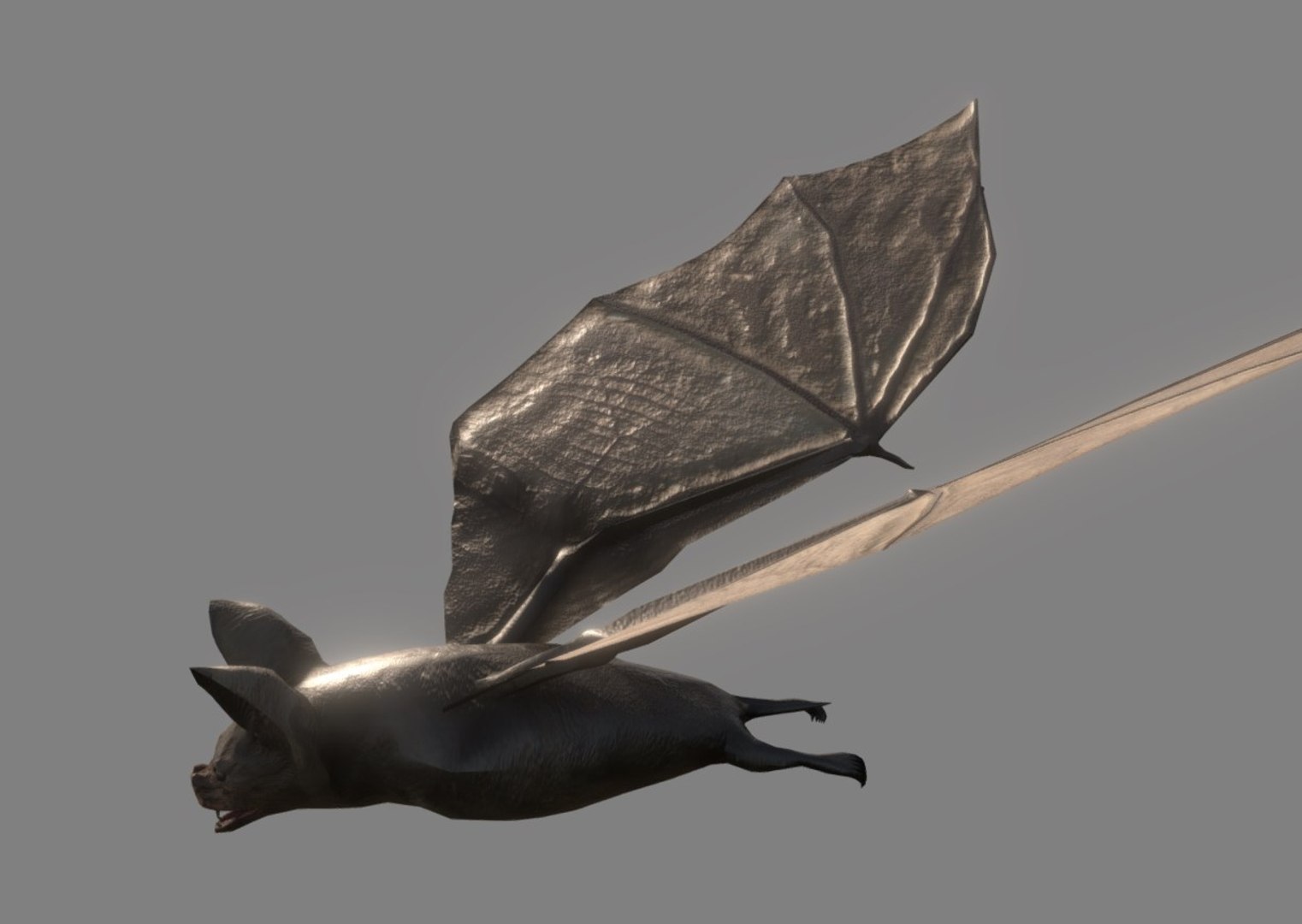 Bat Rigged 3D Model - TurboSquid 1417975