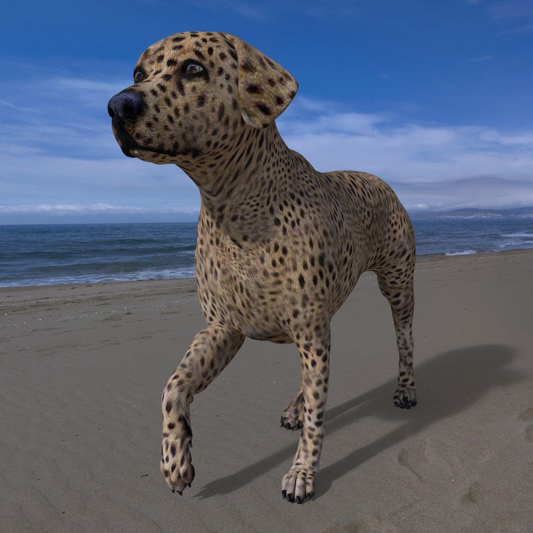 LAB-027 Dog Walking 3D - TurboSquid 1914662
