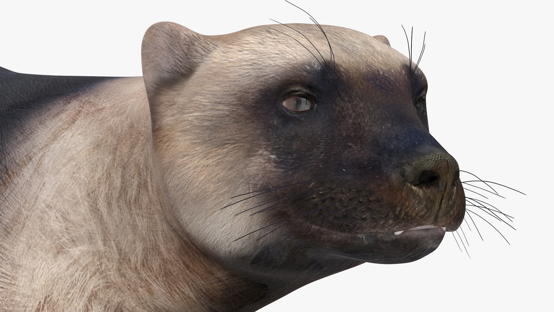 Wolverine Light Color Walking Pose Model - TurboSquid 2130610