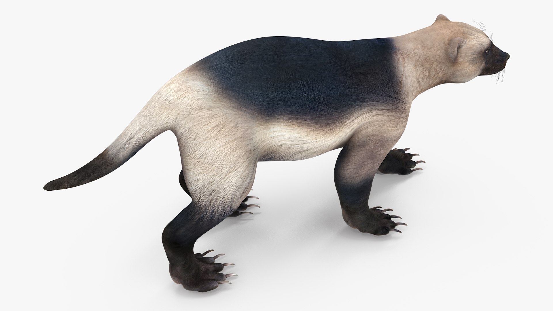 Wolverine Light Color Walking Pose Model - TurboSquid 2130610