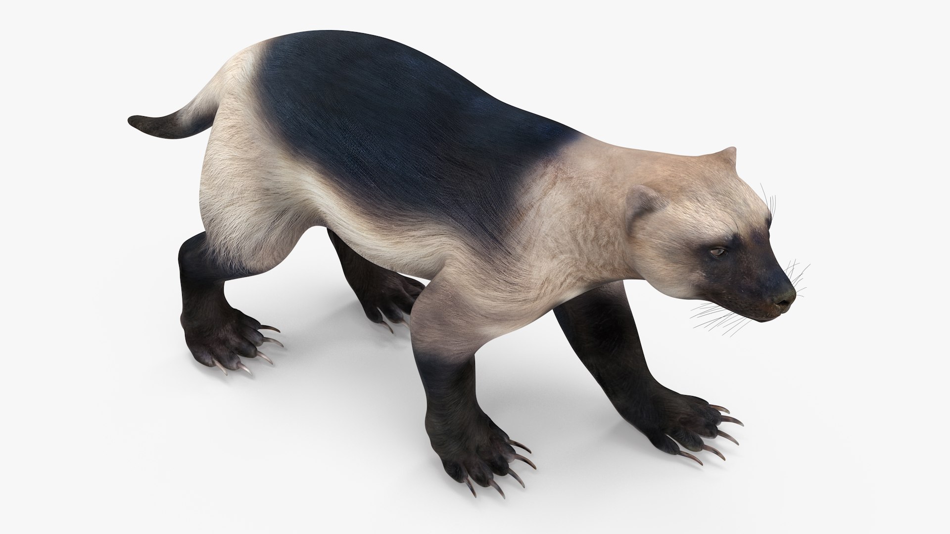 Wolverine Light Color Walking Pose Model - TurboSquid 2130610