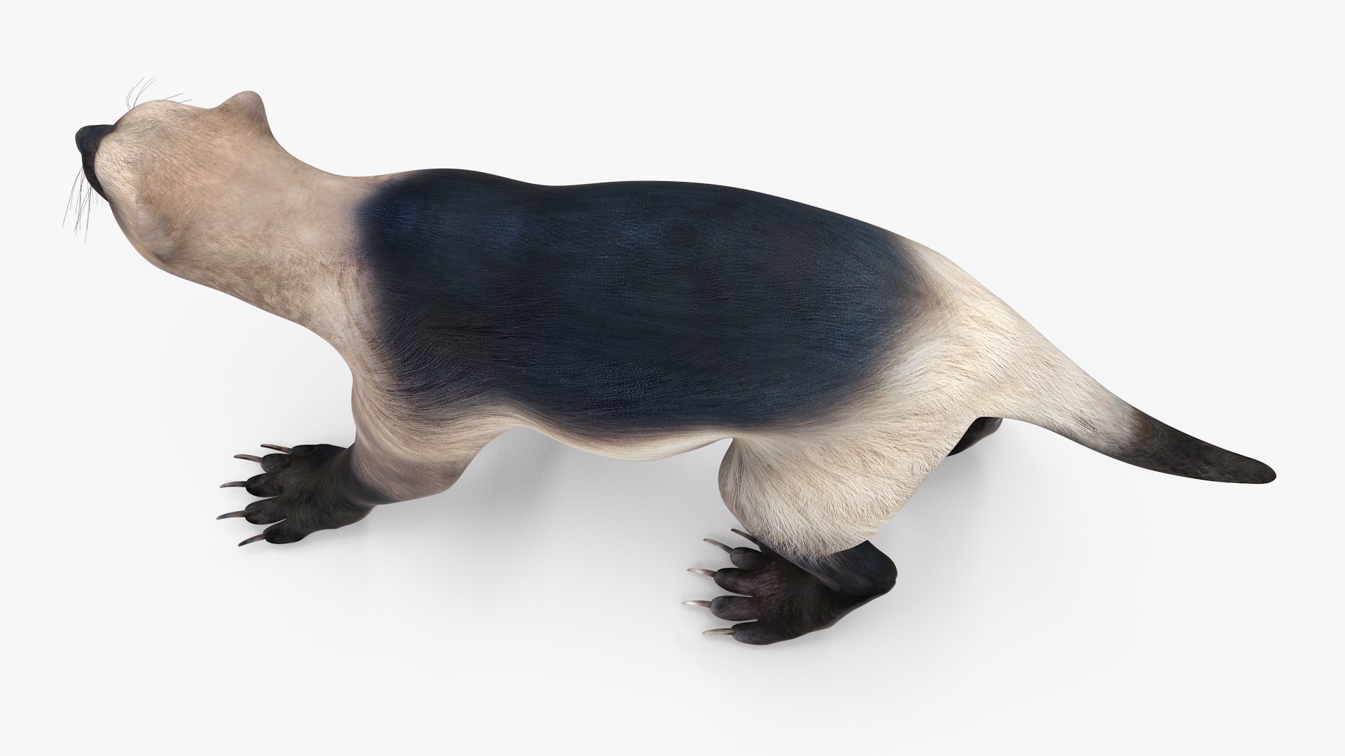 Wolverine Light Color Walking Pose Model - TurboSquid 2130610