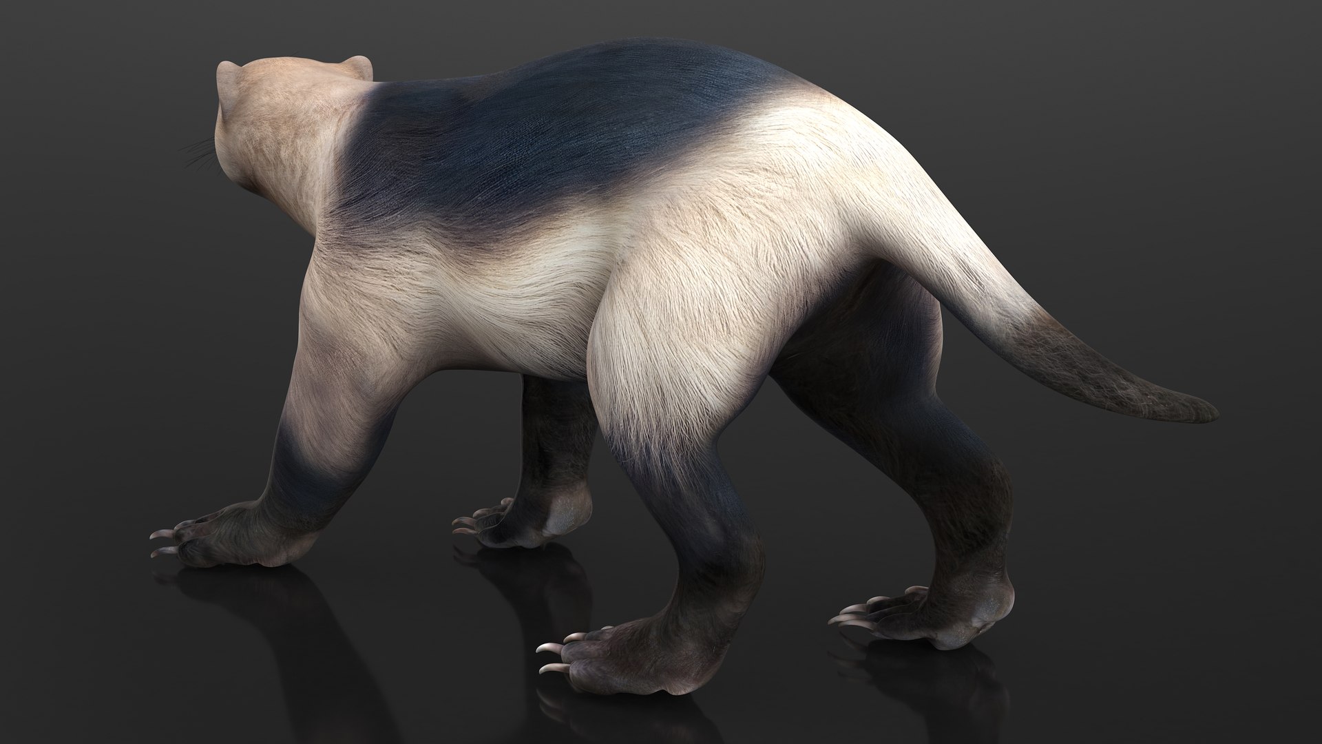 Wolverine Light Color Walking Pose Model - TurboSquid 2130610