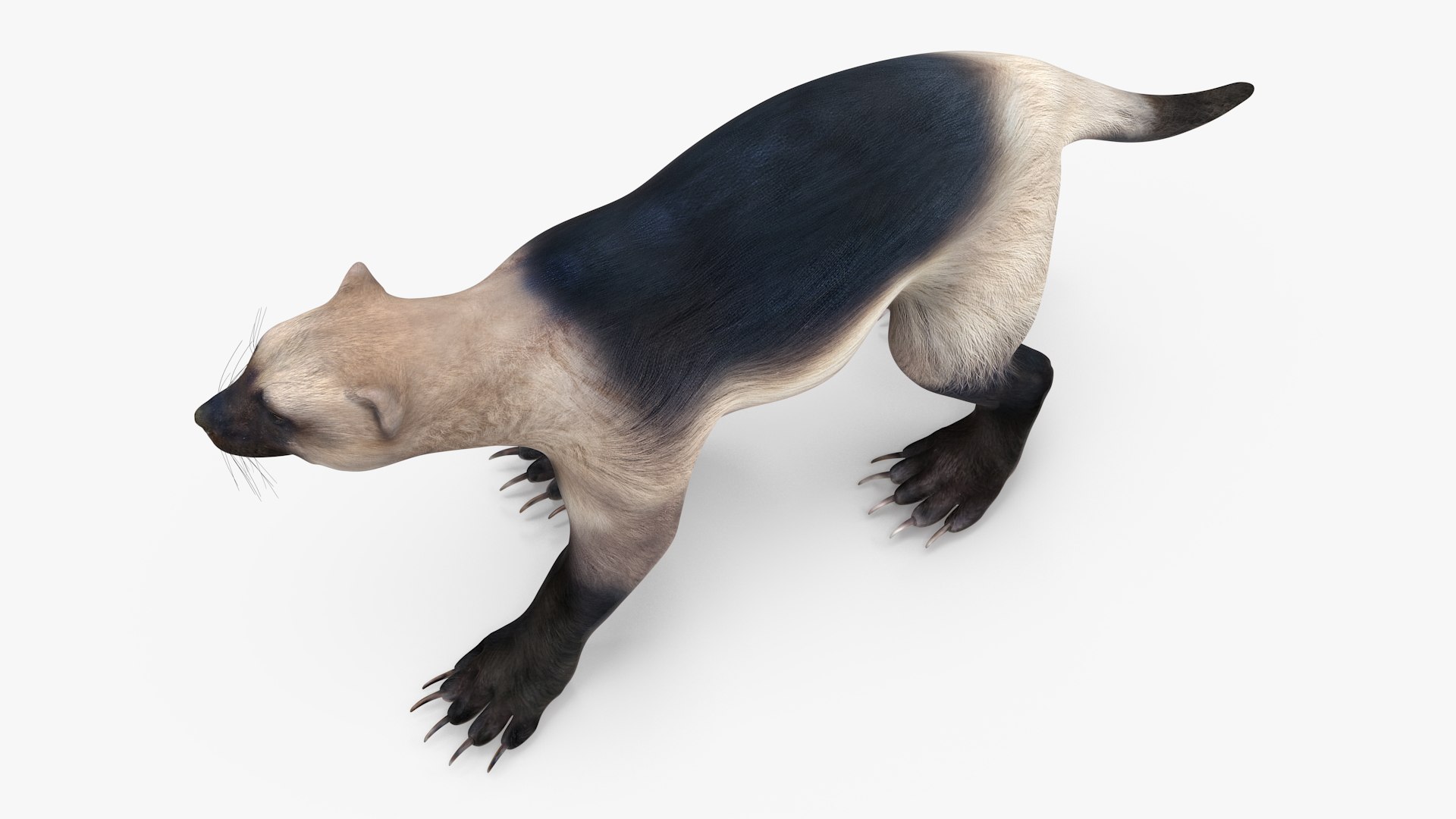 Wolverine Light Color Walking Pose Model - TurboSquid 2130610