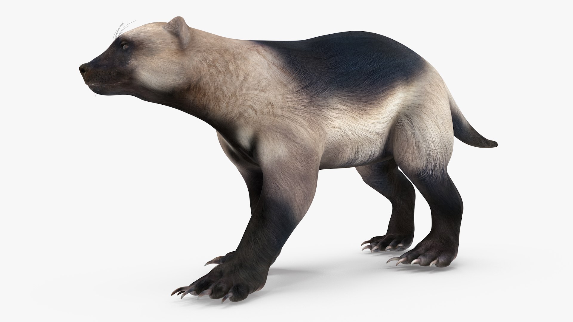 Wolverine Light Color Walking Pose model - TurboSquid 2130610