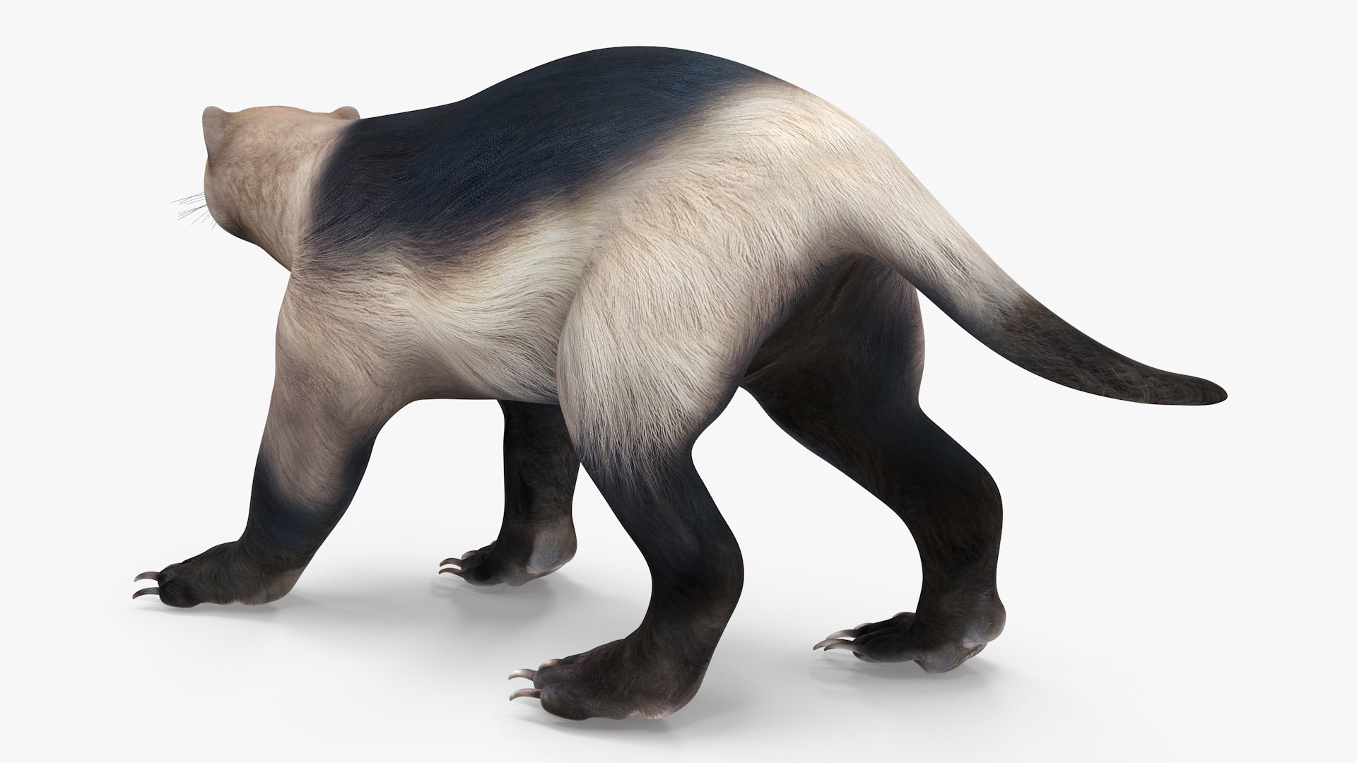 Wolverine Light Color Walking Pose Model - TurboSquid 2130610