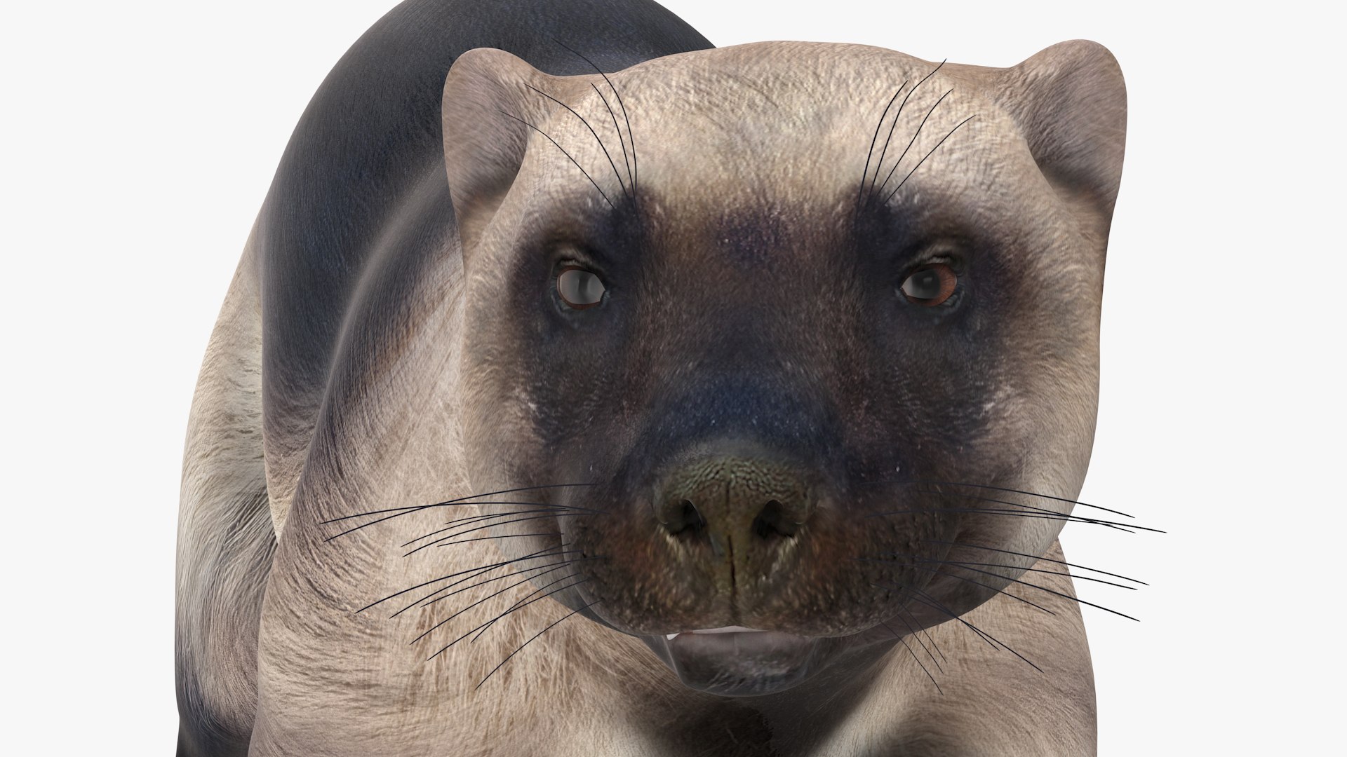 Wolverine Light Color Walking Pose model - TurboSquid 2130610