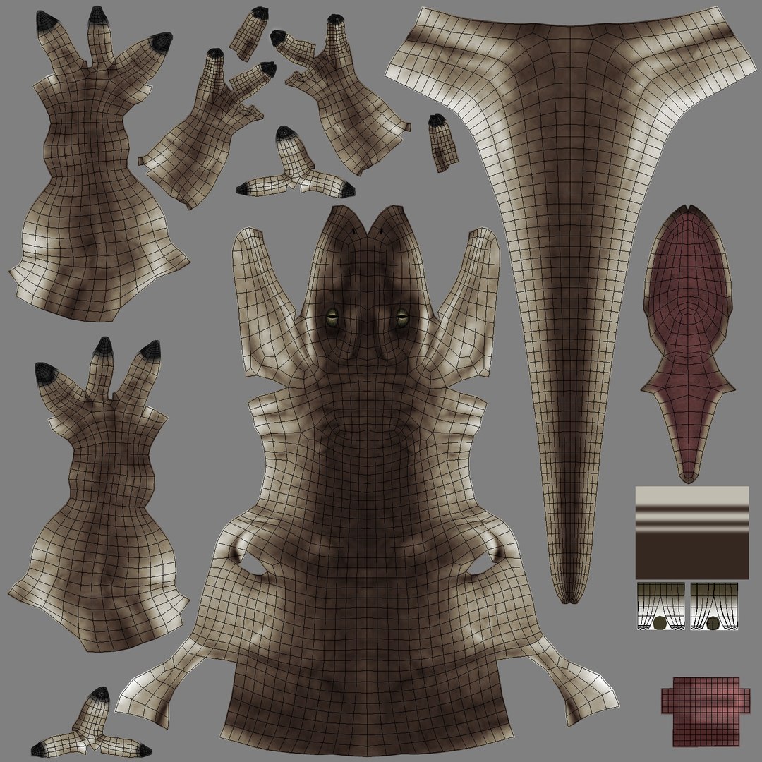 3d Raptor Carnivore Model