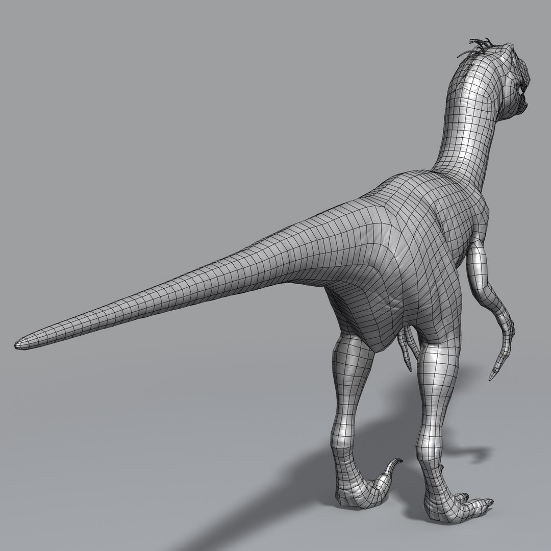 3d Raptor Carnivore Model