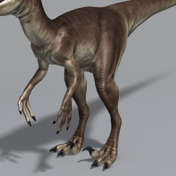3d raptor carnivore model