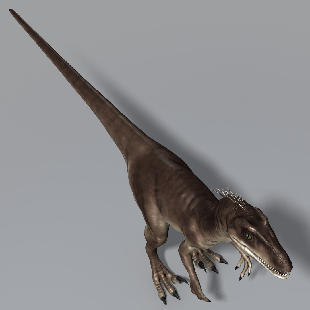 3d Raptor Carnivore Model