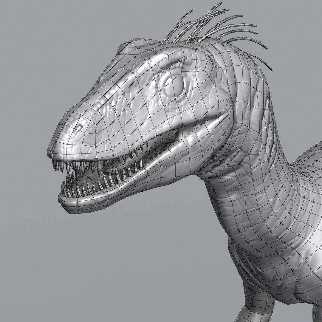 3d Raptor Carnivore Model