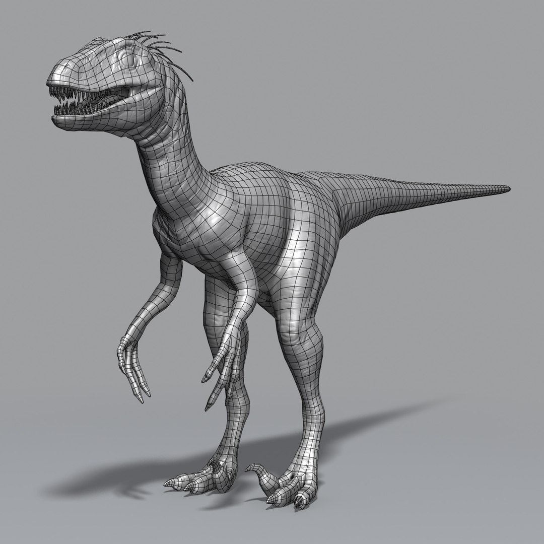 3d Raptor Carnivore Model