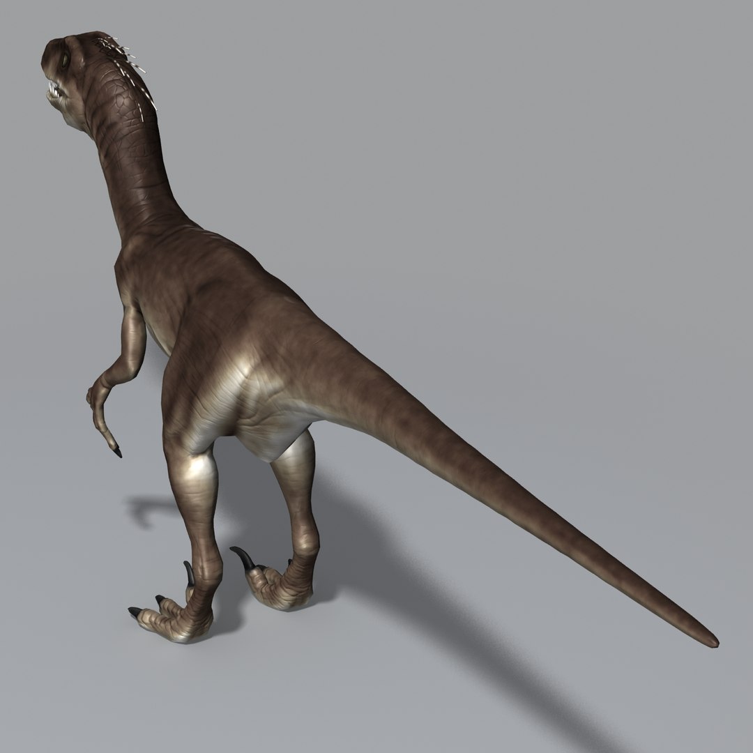 3d Raptor Carnivore Model