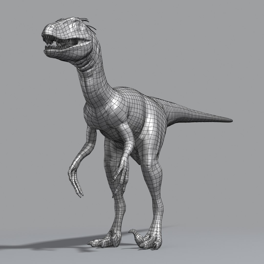3d Raptor Carnivore Model