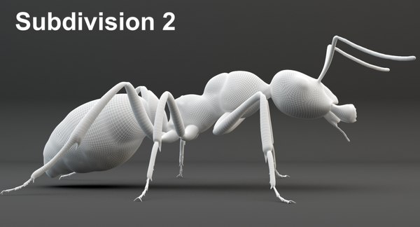 Ant animation 3D model - TurboSquid 1337722