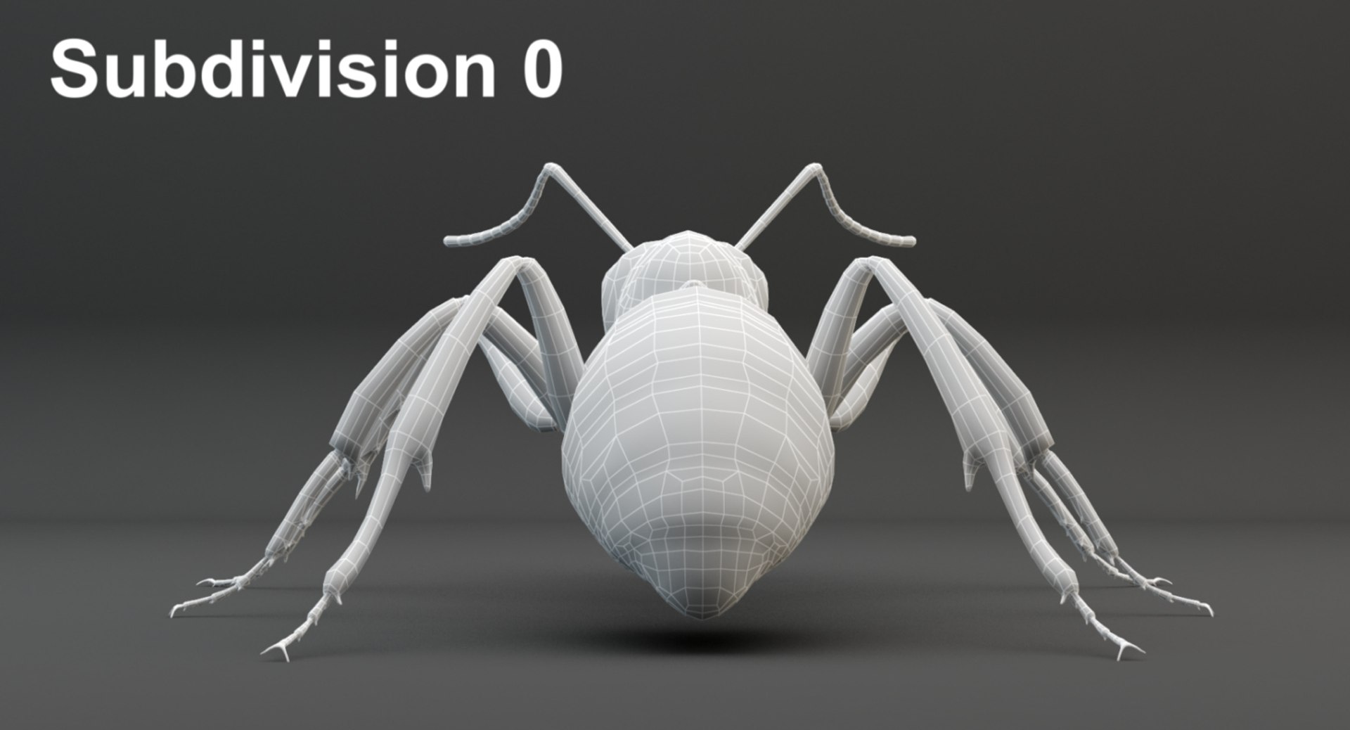 Ant animation 3D model - TurboSquid 1337722