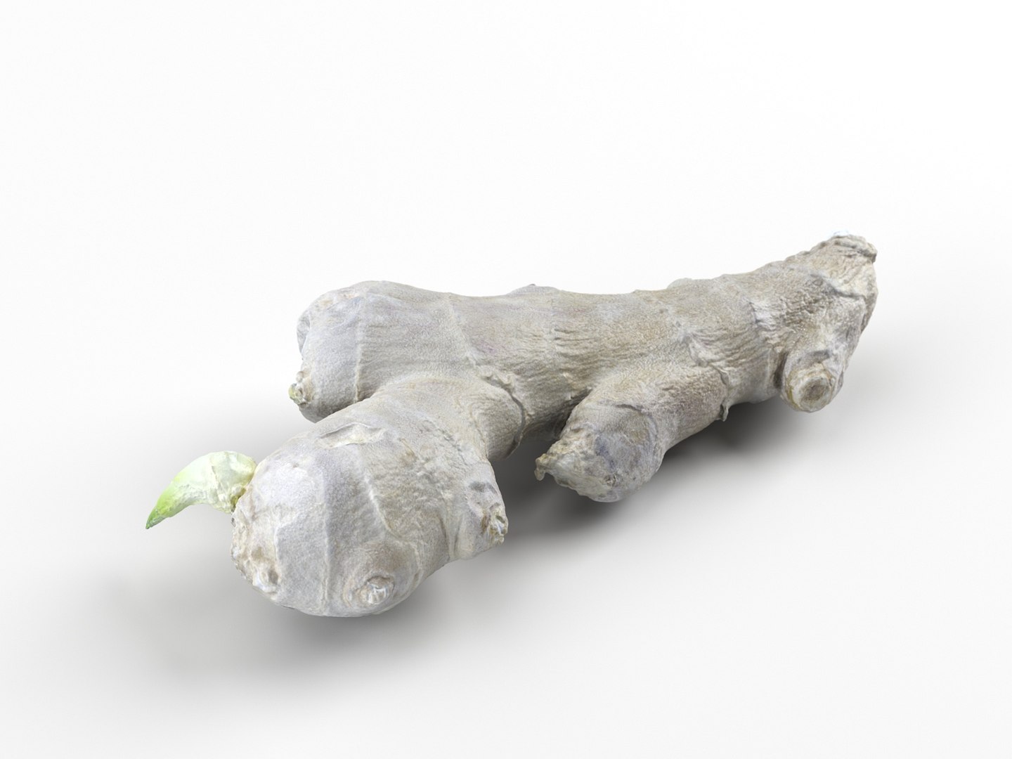 Photorealistic Scanned Ginger 3D Model - TurboSquid 1277131