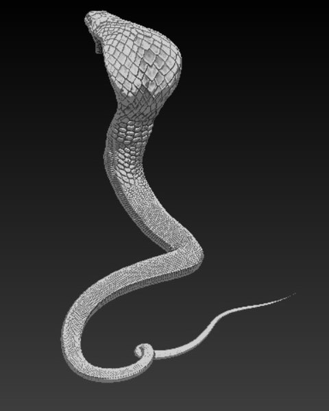 solid cobra 3d model