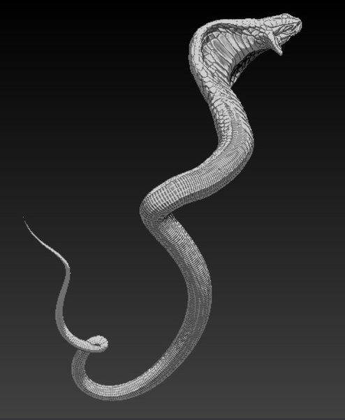 solid cobra 3d model